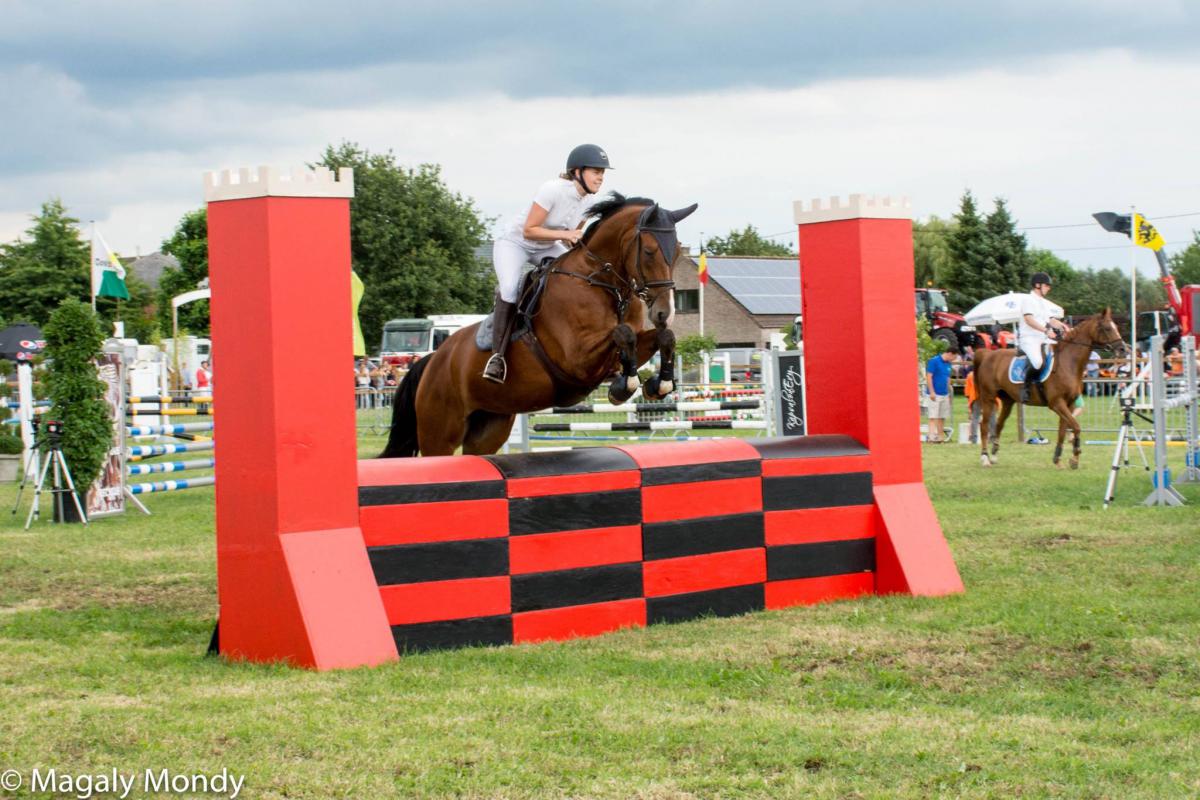 Traditiegewijs aanwezig op Jumping Eke | De Hoefslag - manege en ...